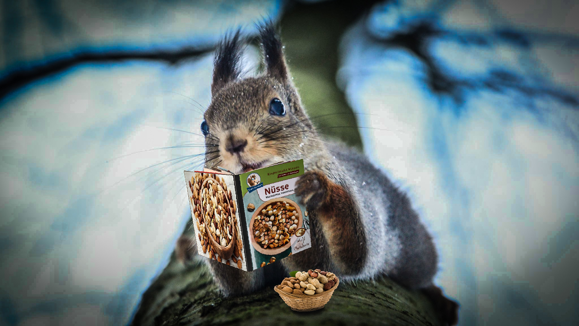 ArtStation - Reading Squirrel ♥