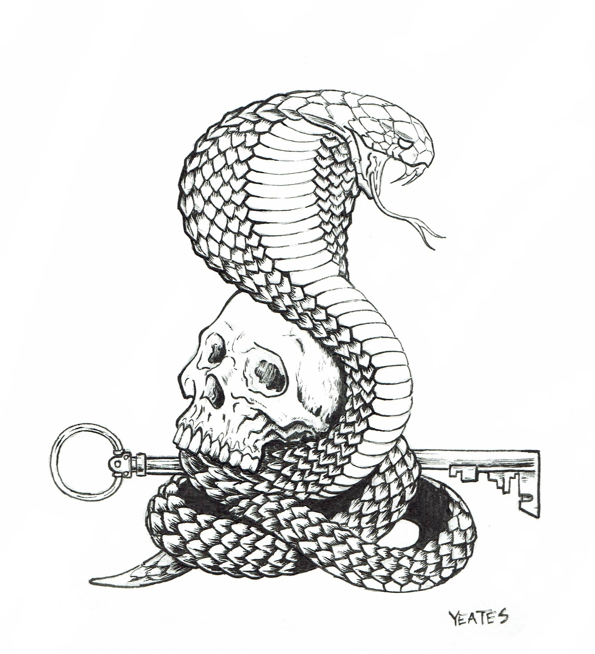 ArtStation - Cobra, Skull and key
