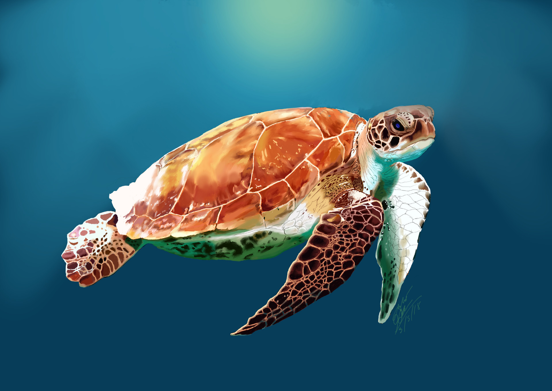 ArtStation - Sea Turtle in Peace