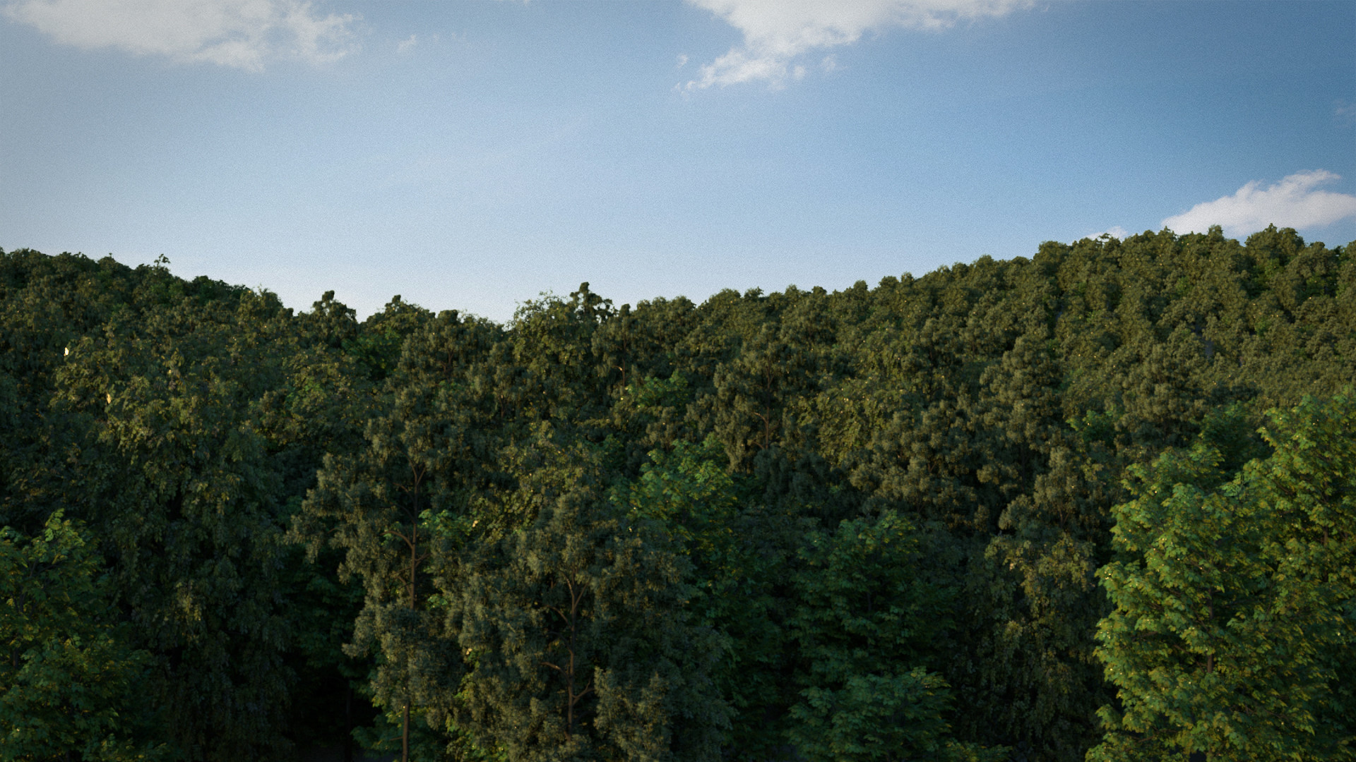 ArtStation - Forest