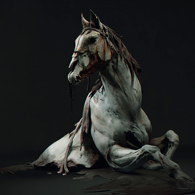 Maria Panfilova - Portfolio