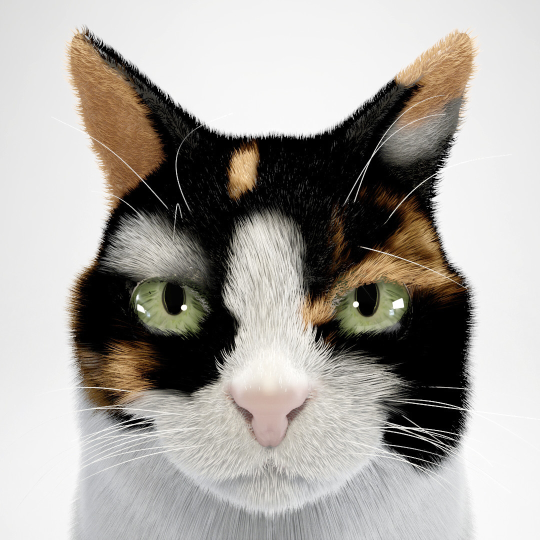 ArtStation - A cat named Shoosh (Animals portraits no.1)