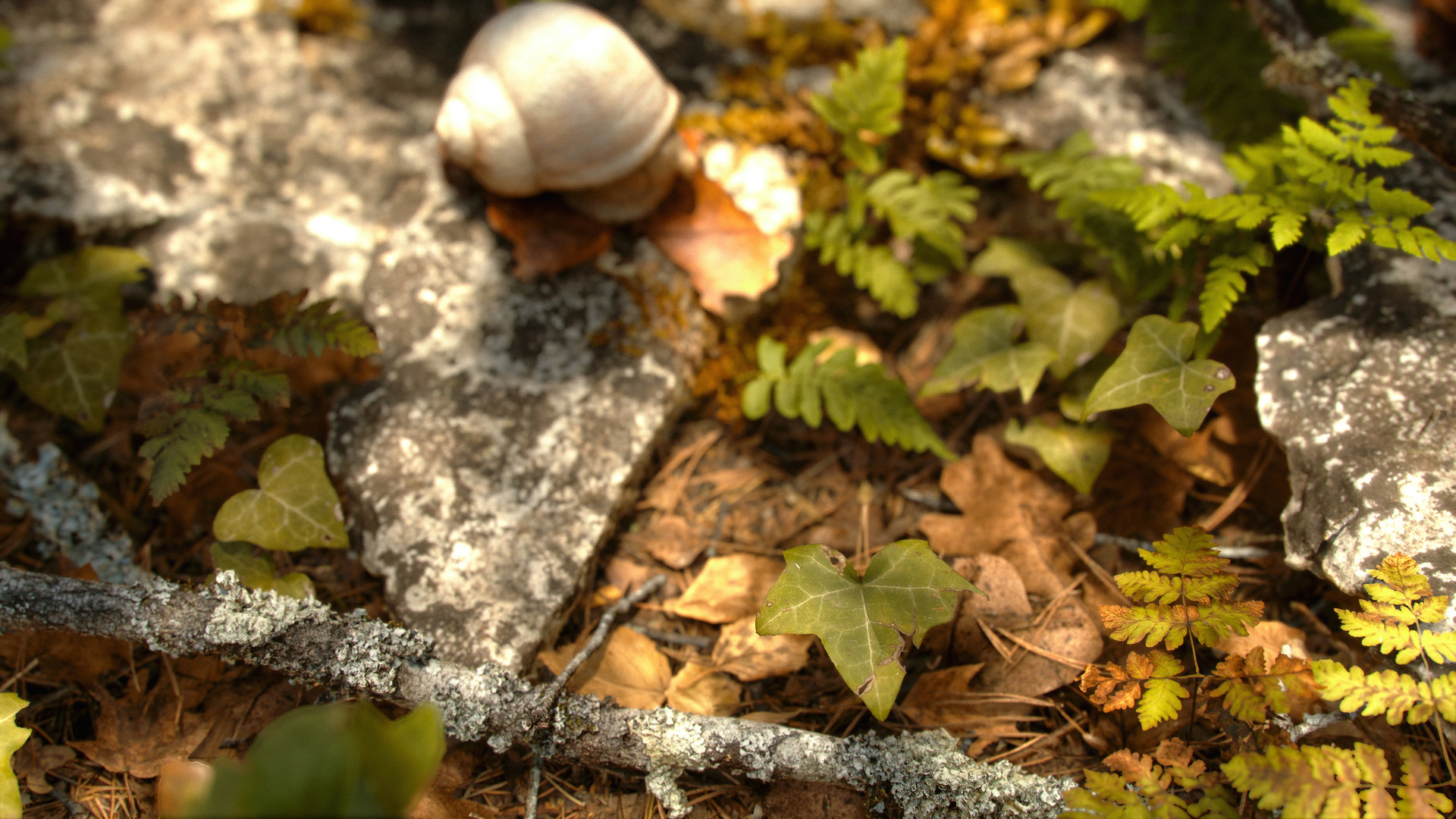 ArtStation - Exploring the limits of real time rendering