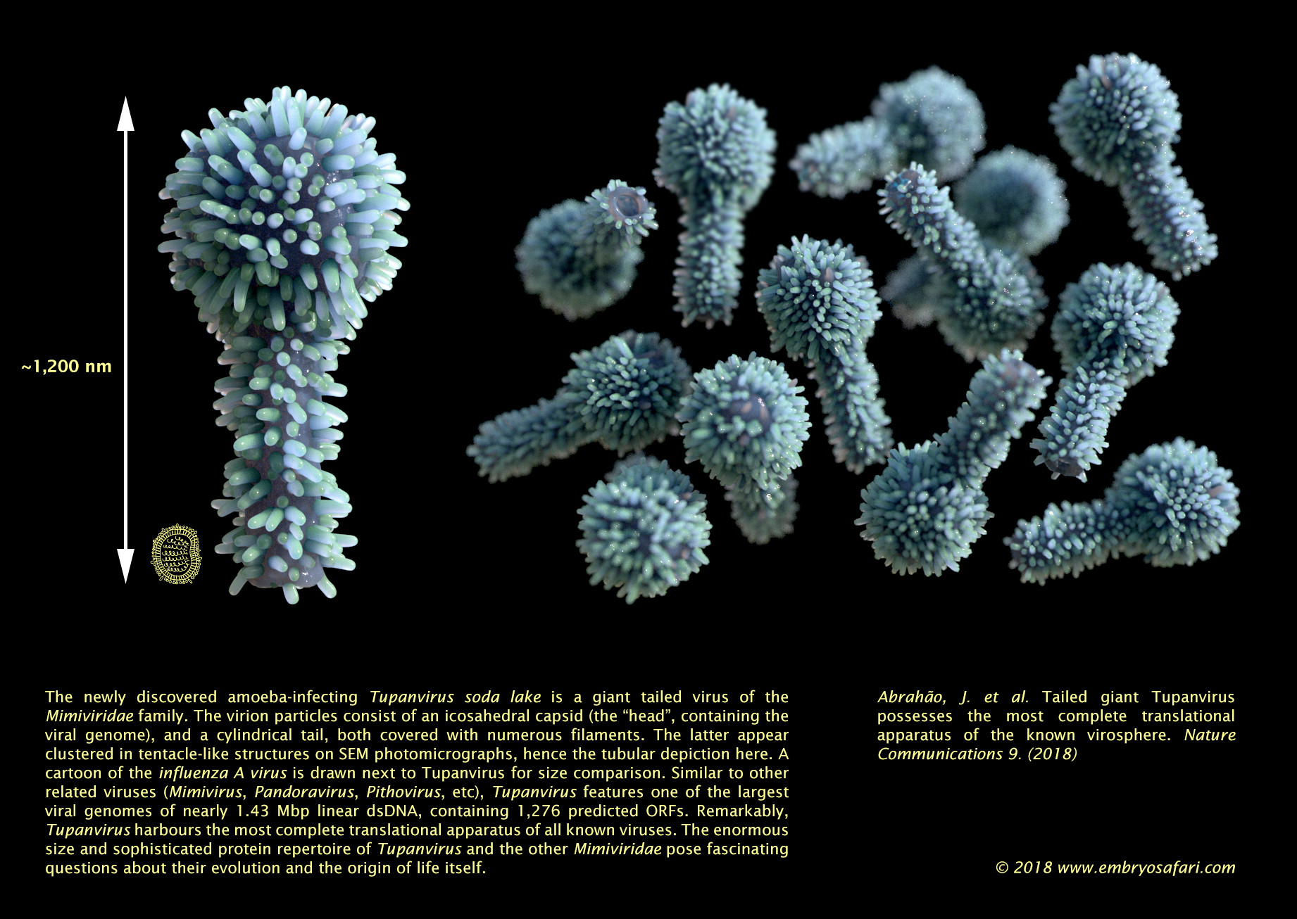 Kalin Narov - Tupanvirus