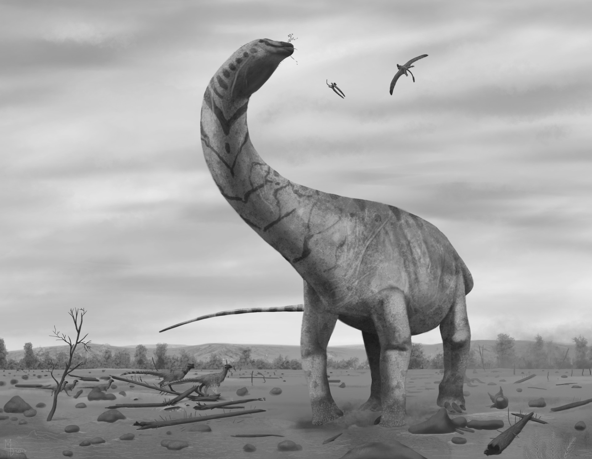 ArtStation - Earth Archives Galeamopus