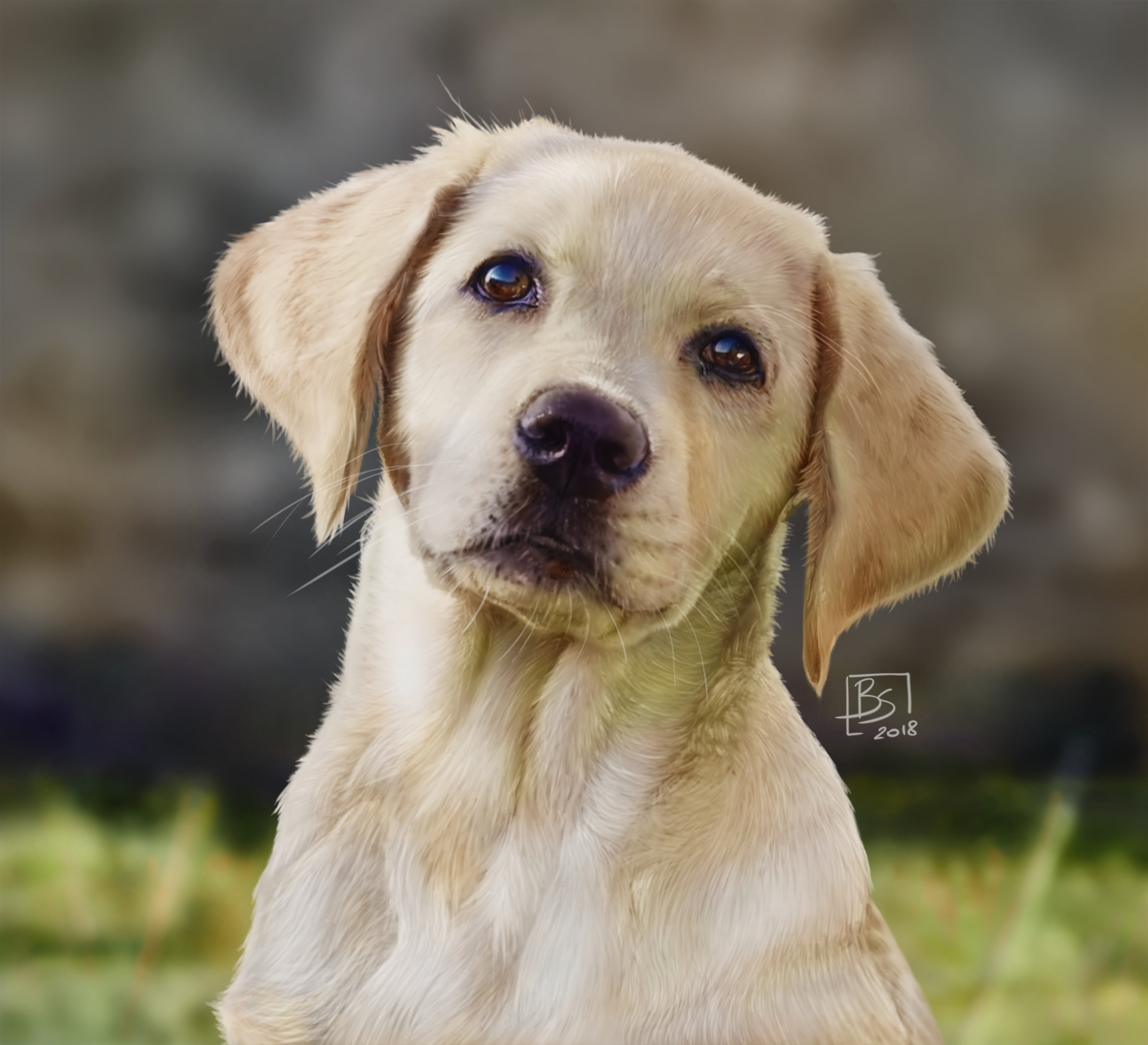 ArtStation - Labrador