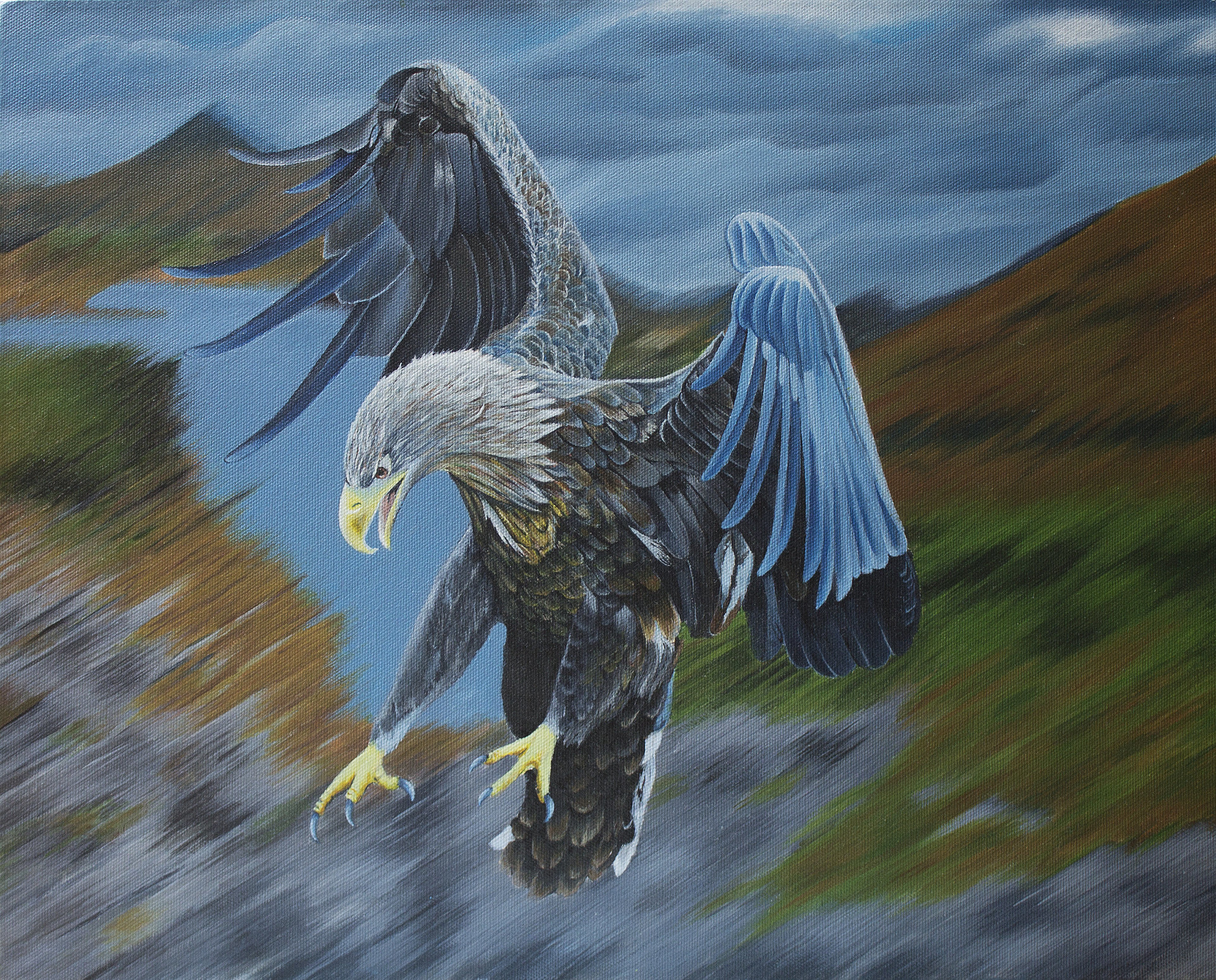 ArtStation - Flying Eagle