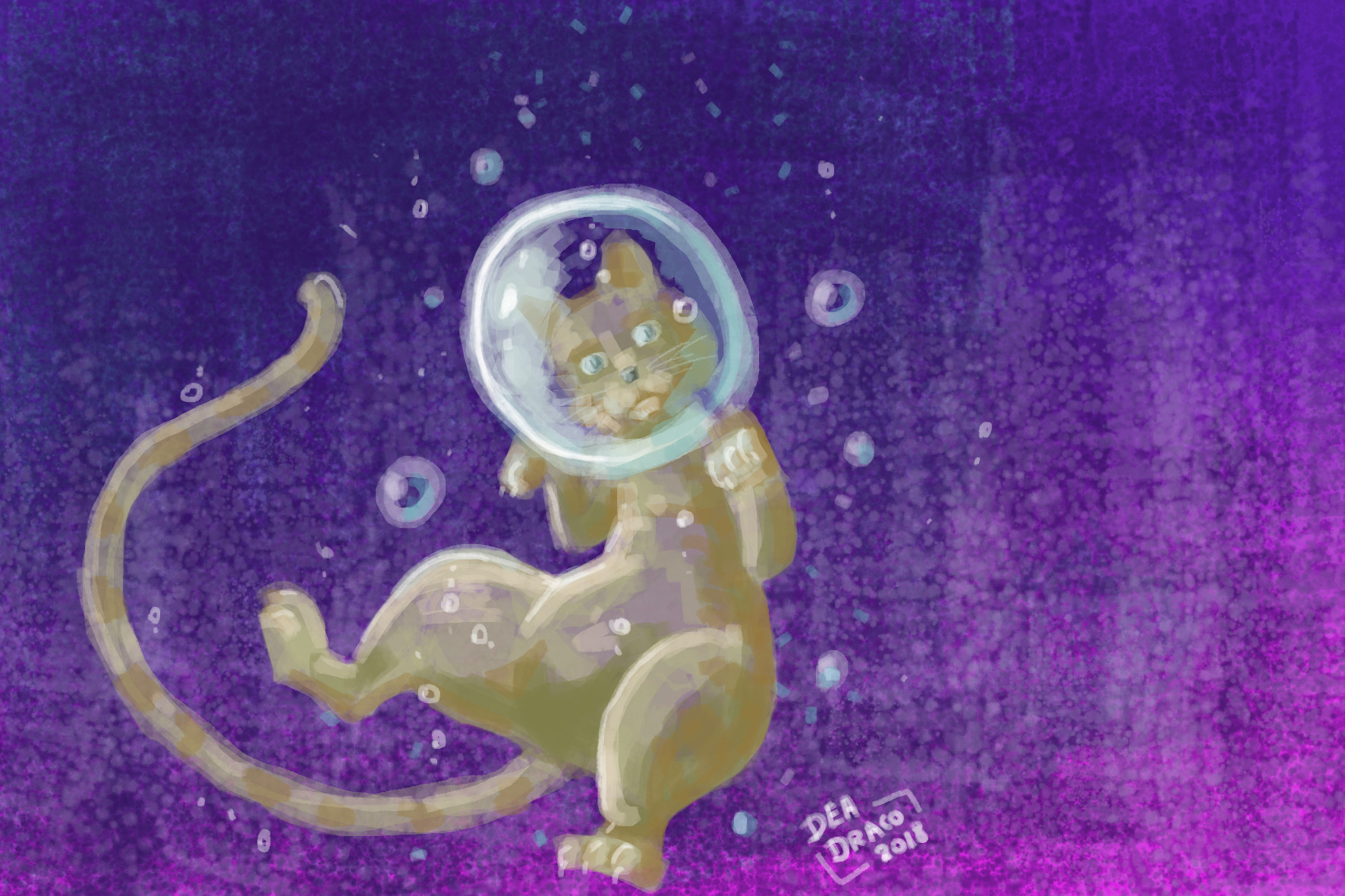 ArtStation - Water Cat