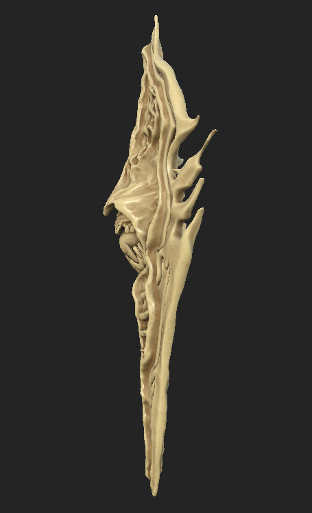 Tim Staudenmaier - Bone Shield