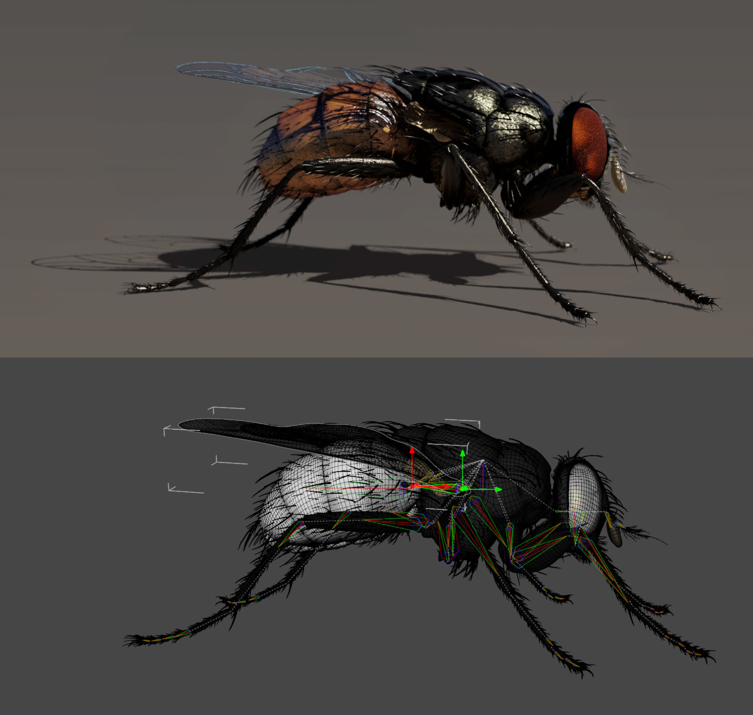 ArtStation - Housefly test render