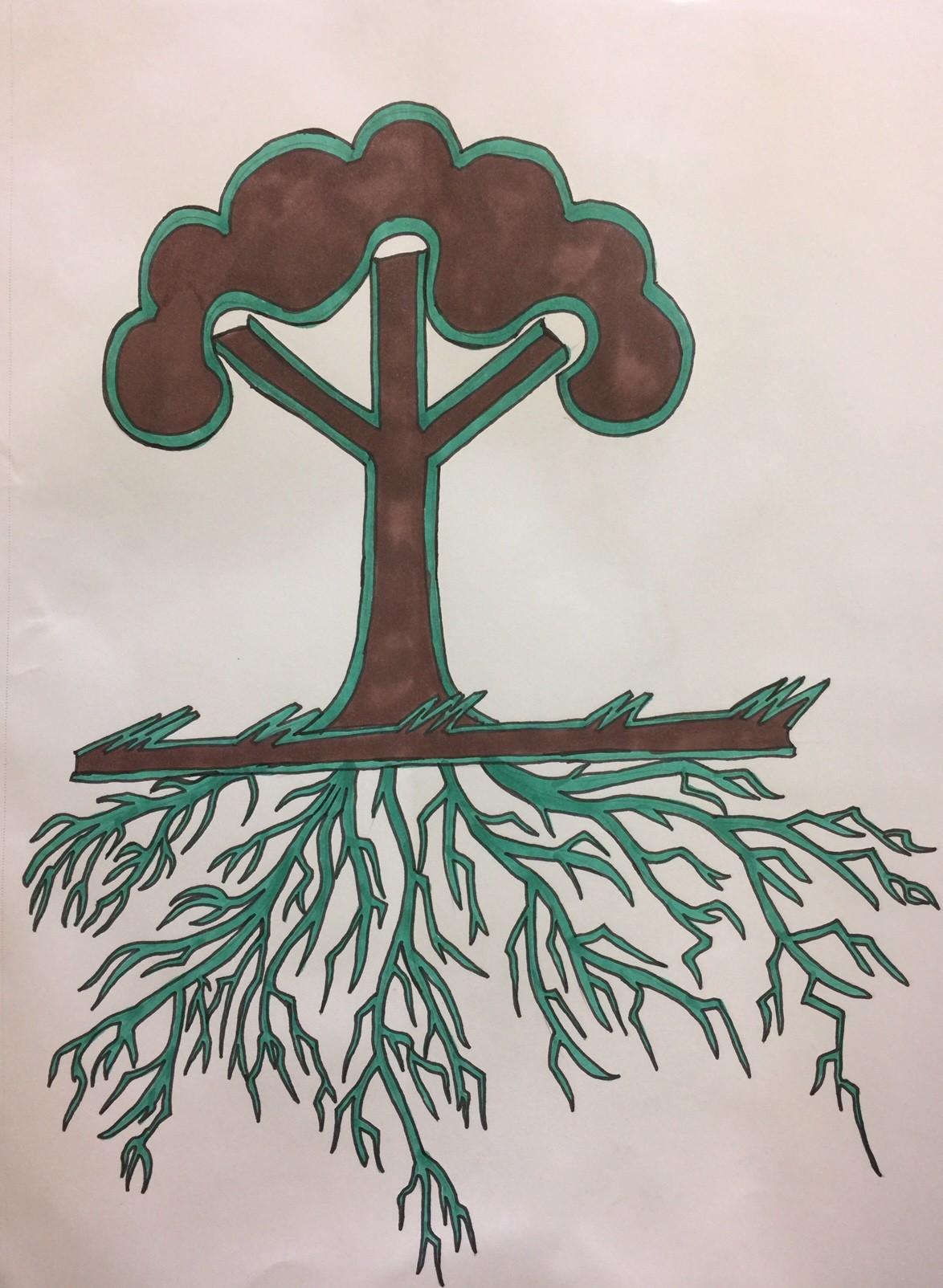 Nikki Bruce - Balsamic Vinegars Project