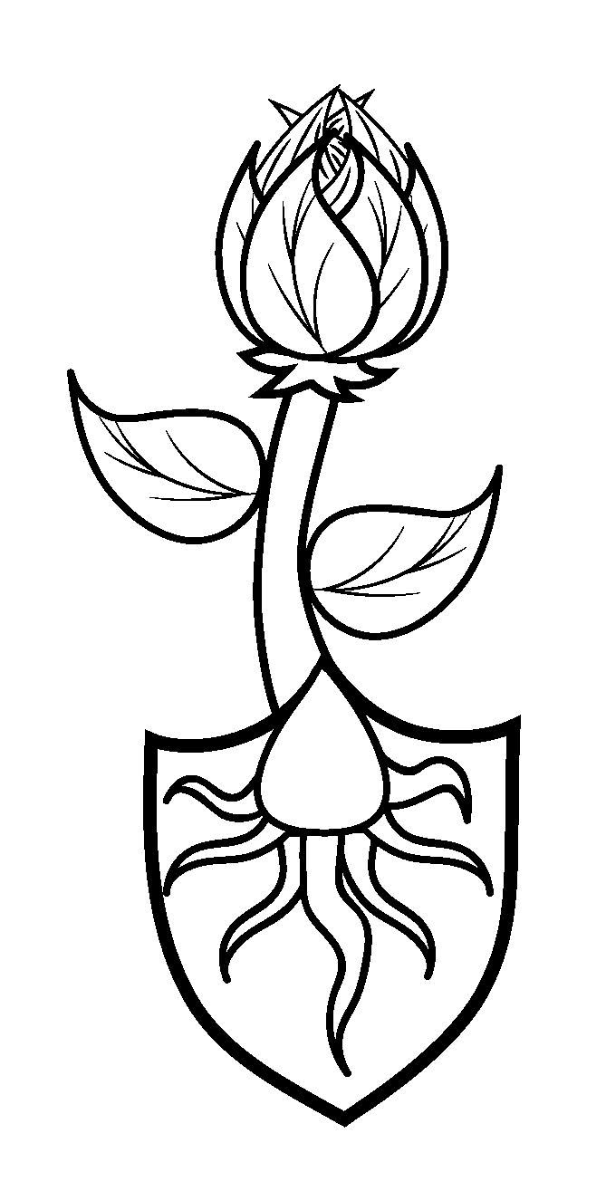 Nikki Bruce - Balsamic Vinegars Project