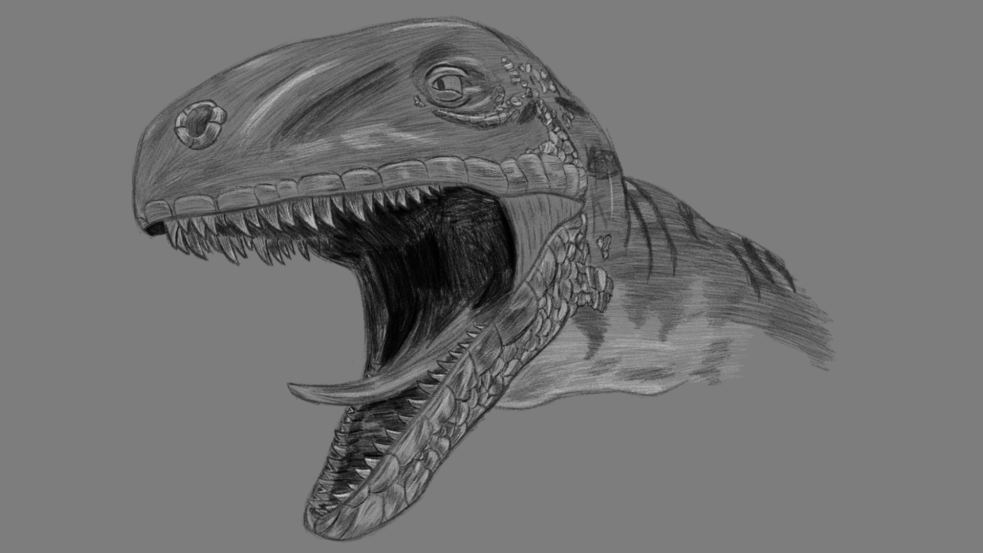 ArtStation - Raptor Sketch