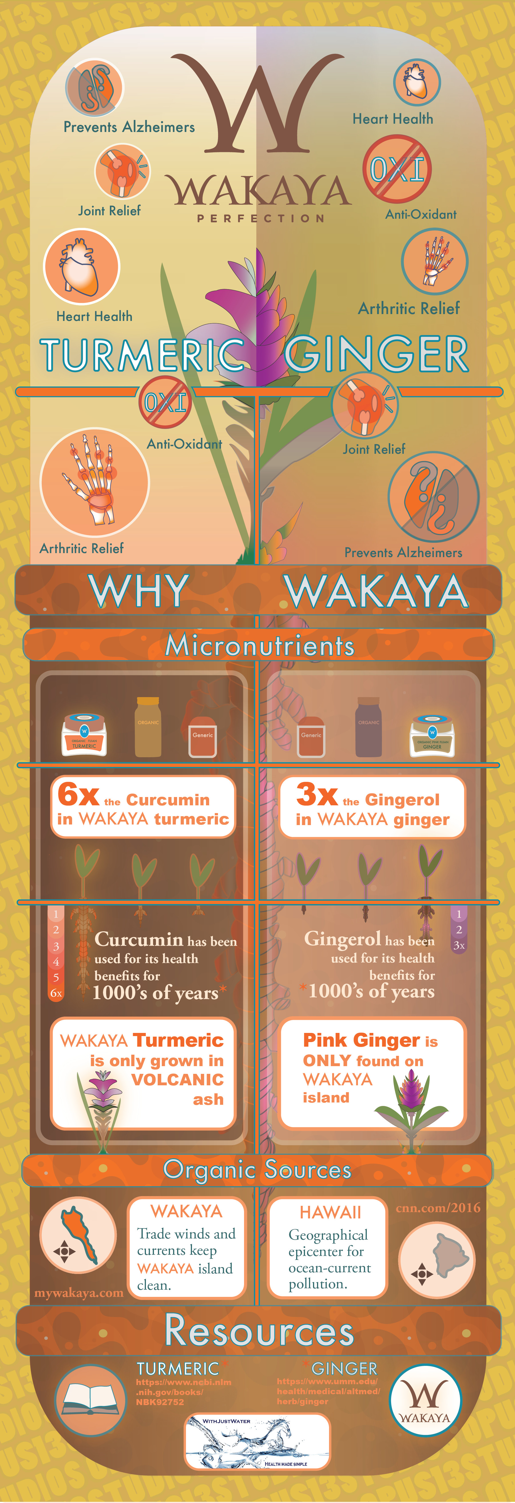 ArtStation - Wakaya Ginger and Turmeric Infographic