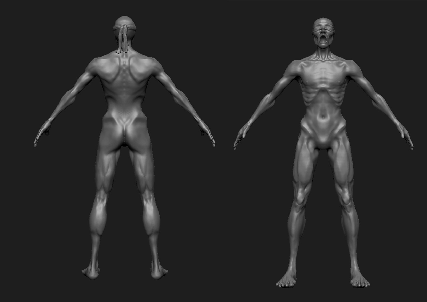ArtStation - Skeletal and muscular anatomy study