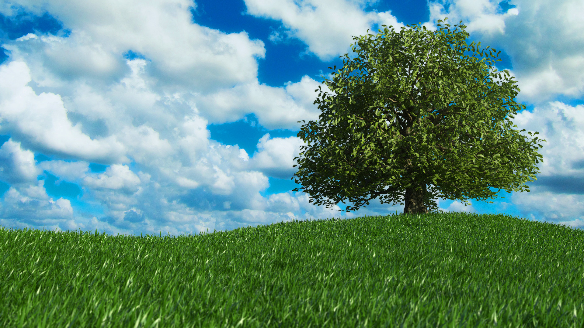 ArtStation - Lone Tree