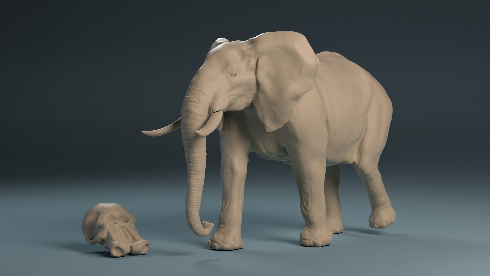 ArtStation - Elephant