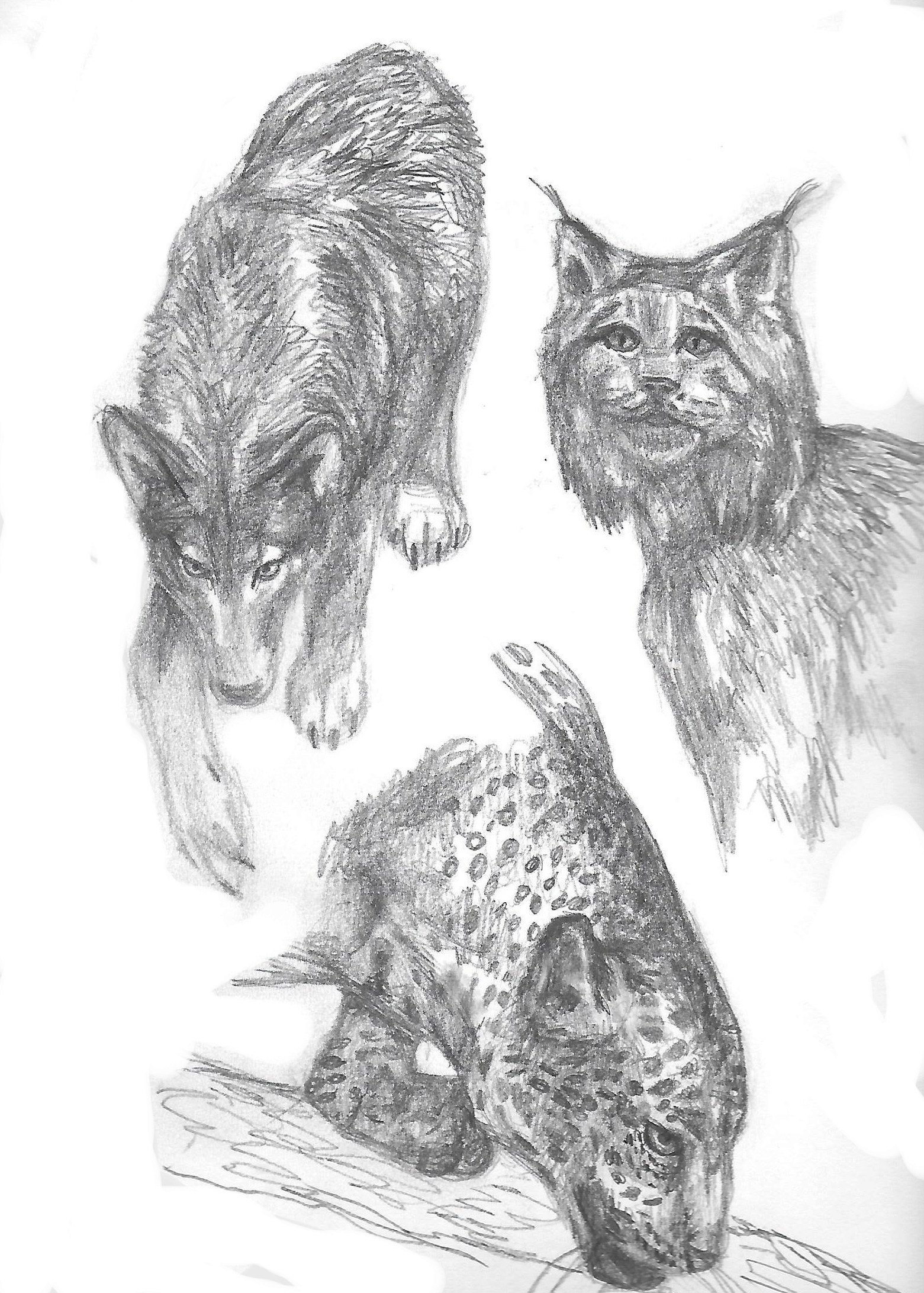 ArtStation - Predators