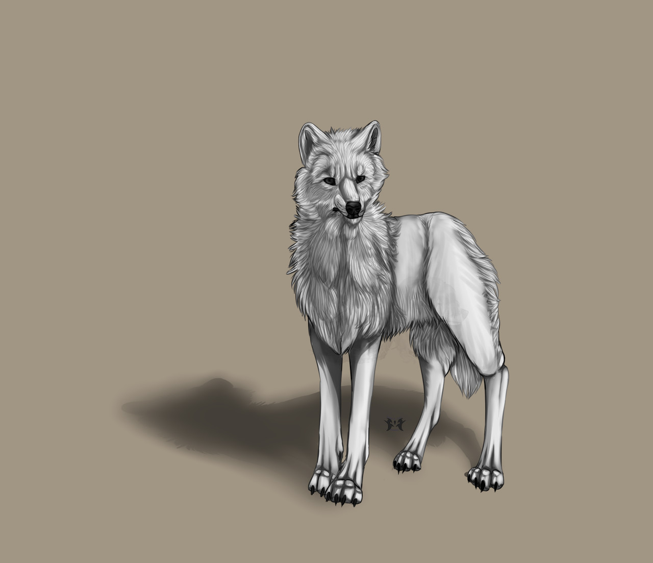 ArtStation - Wolf grayscale practice