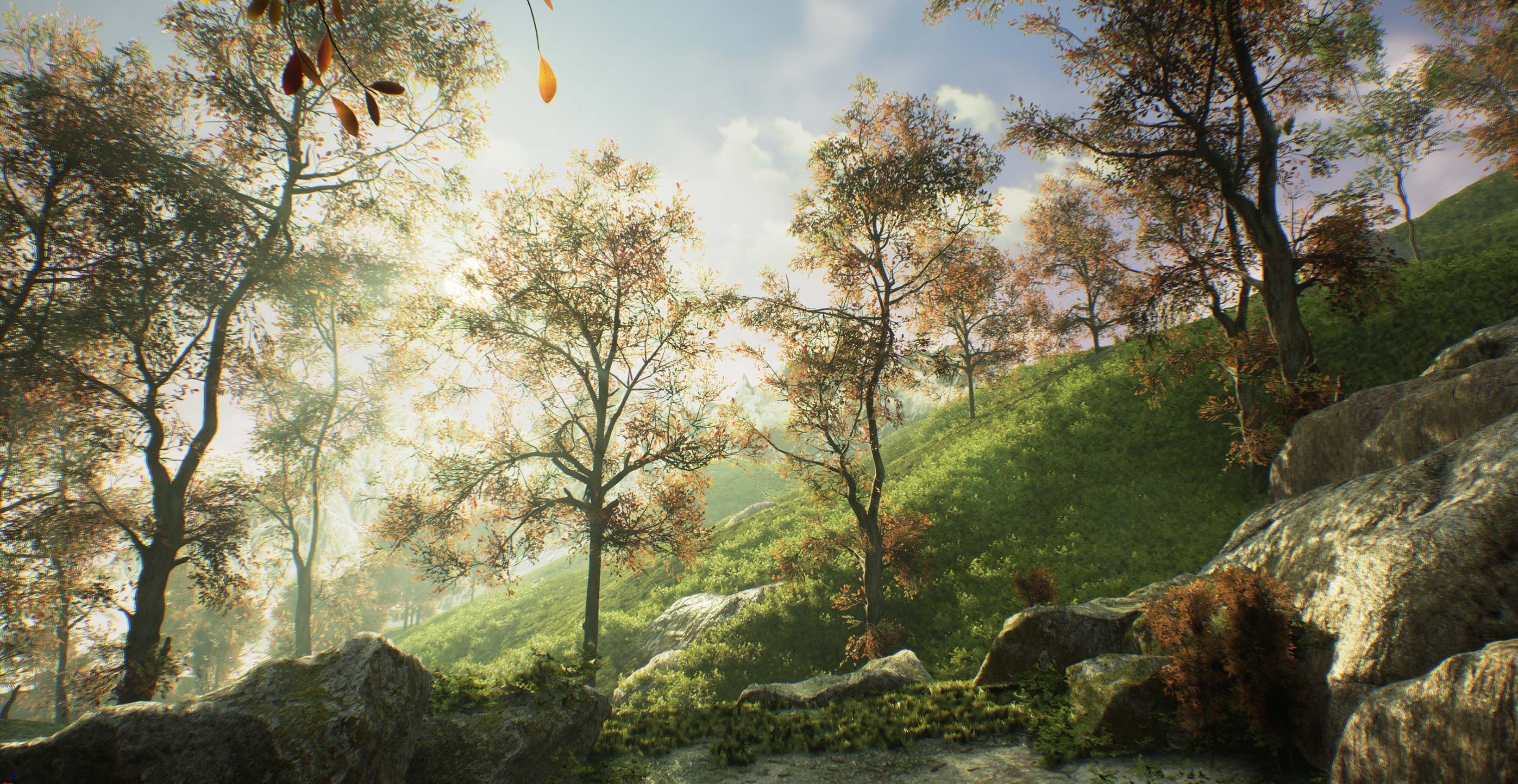 Danny Oakes - SpeedTree for UE4 Test Scenes