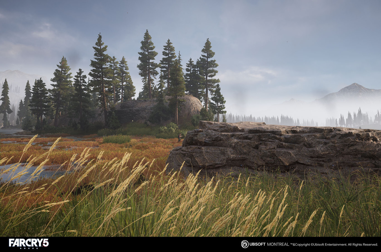 PAULETTE RICHARDSON - FARCRY 5: WATER GRASSES