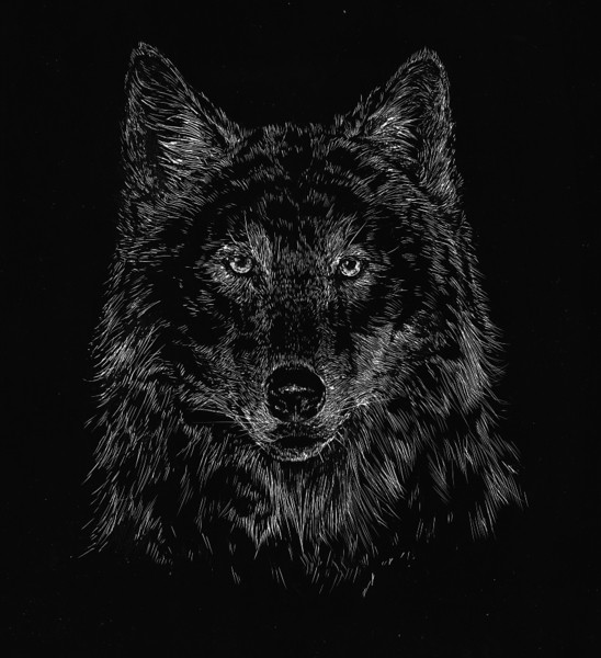 ArtStation - wolf face / Art 2015, Seppyo Bardin