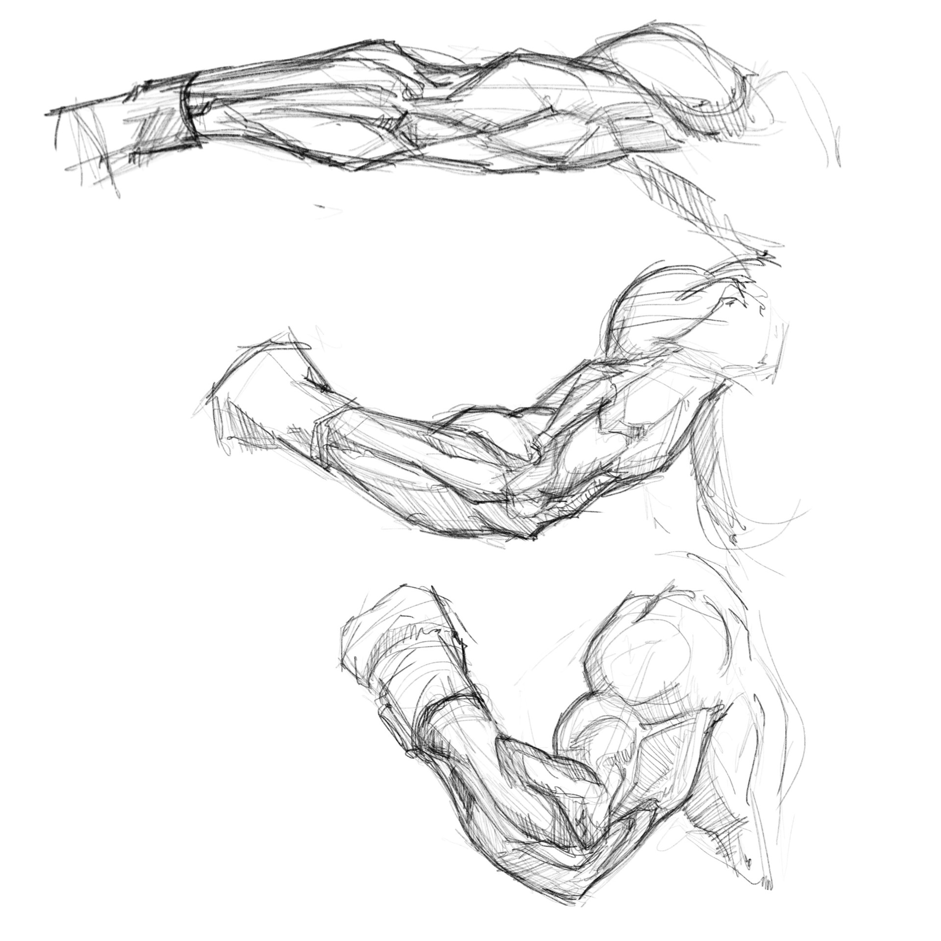 Karolina Jacobsson - Bodies in Motion - sketches