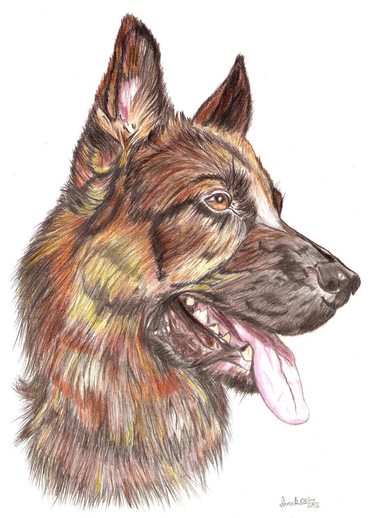 ArtStation - Shepherd