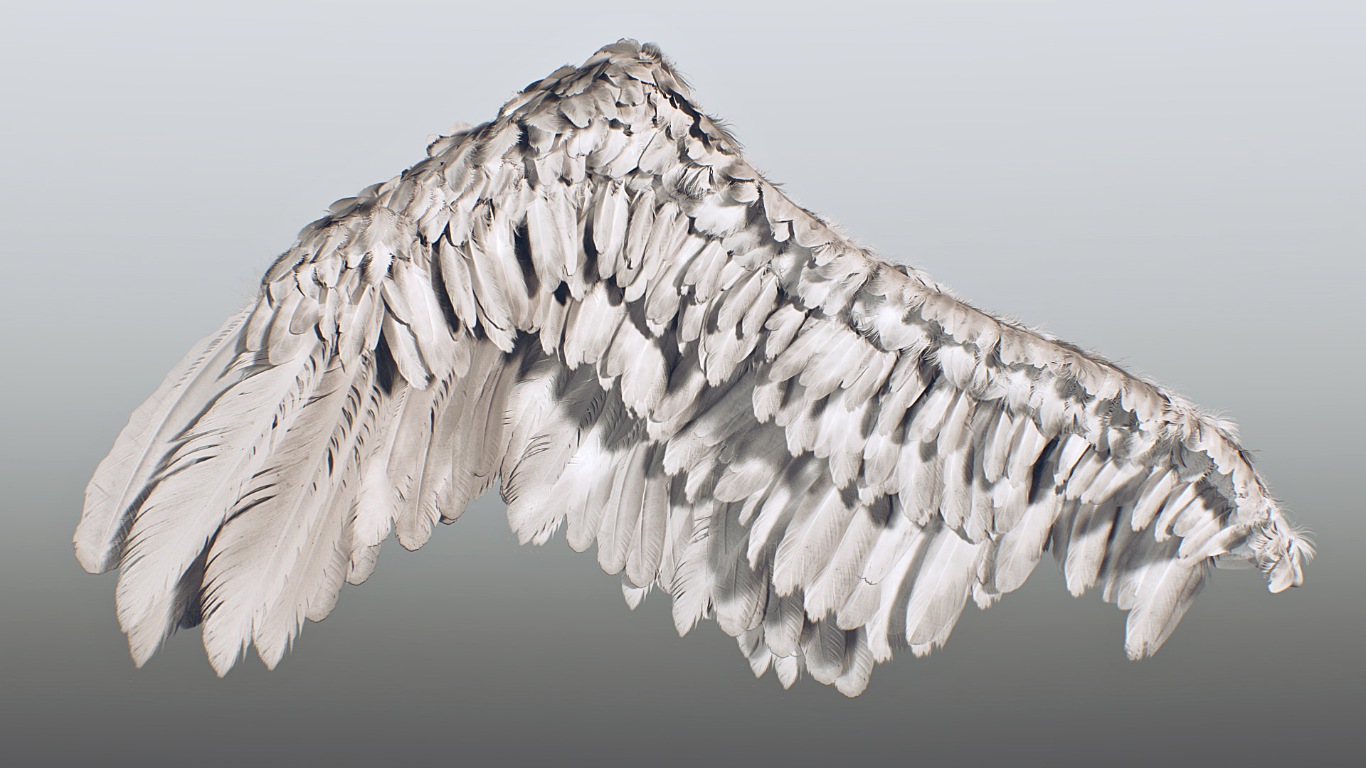 Sergates Matthew - Business Angel - Wings