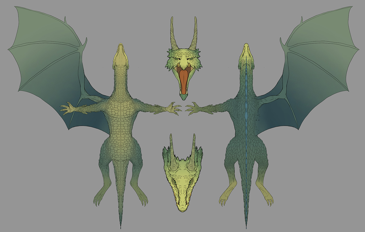 Dragon Side And Front View
