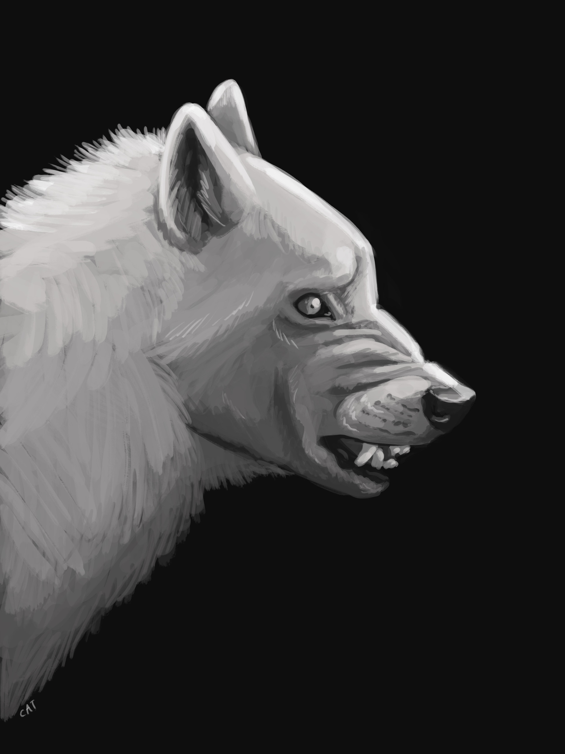 ArtStation - White Wolf