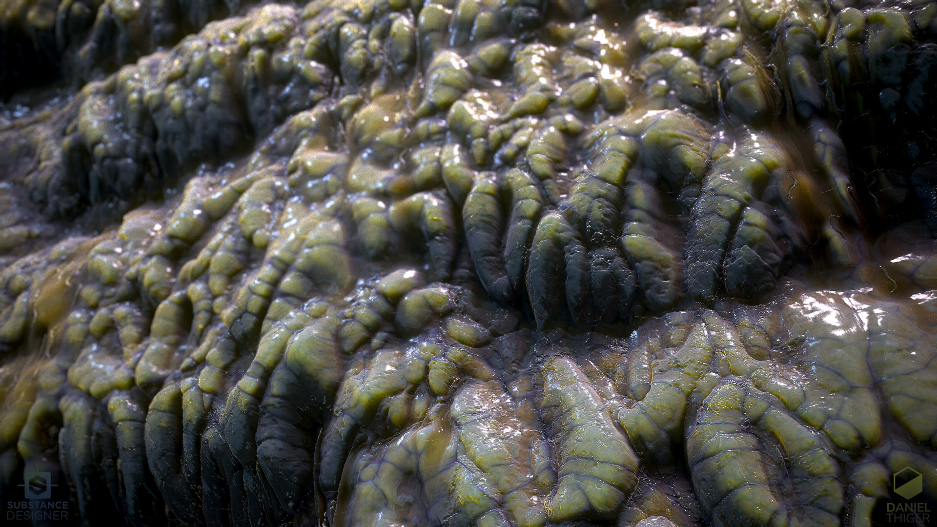 Daniel Thiger - Parasitic Growth