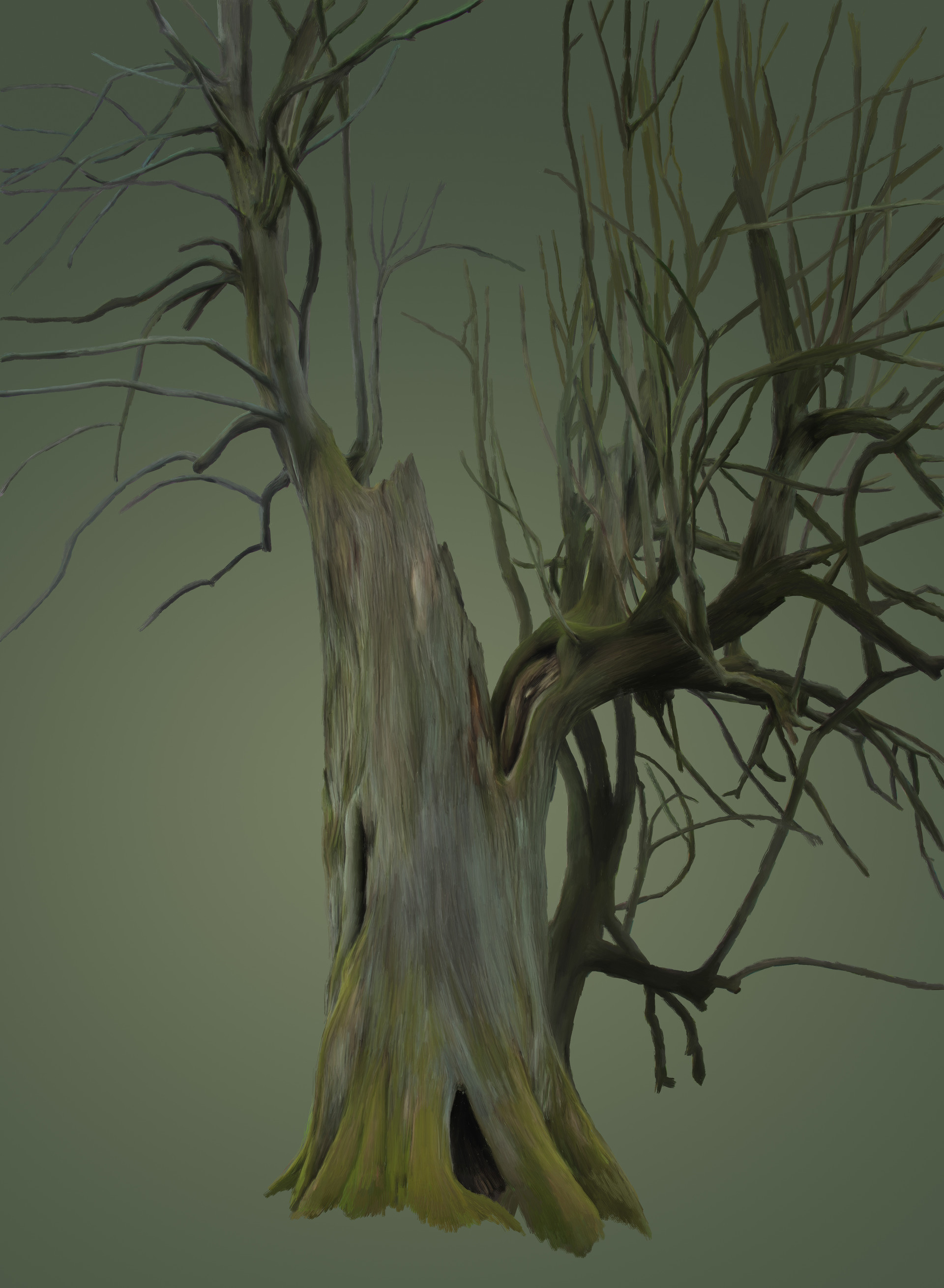 ArtStation - Old tree