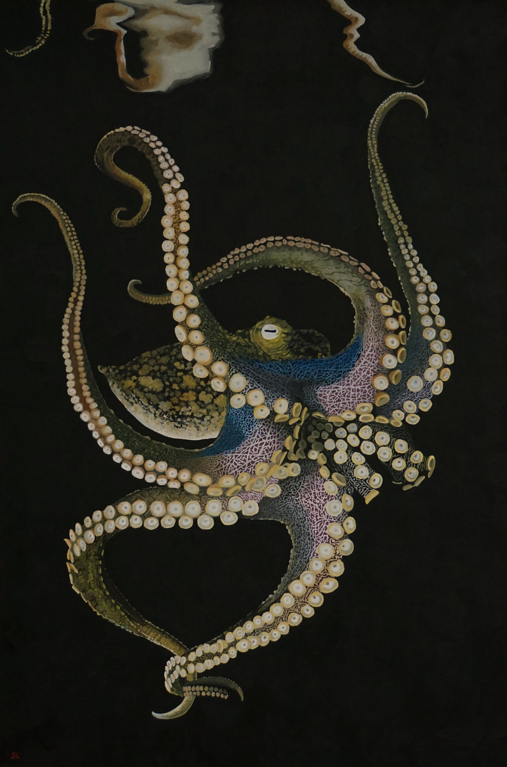 ArtStation - octopus