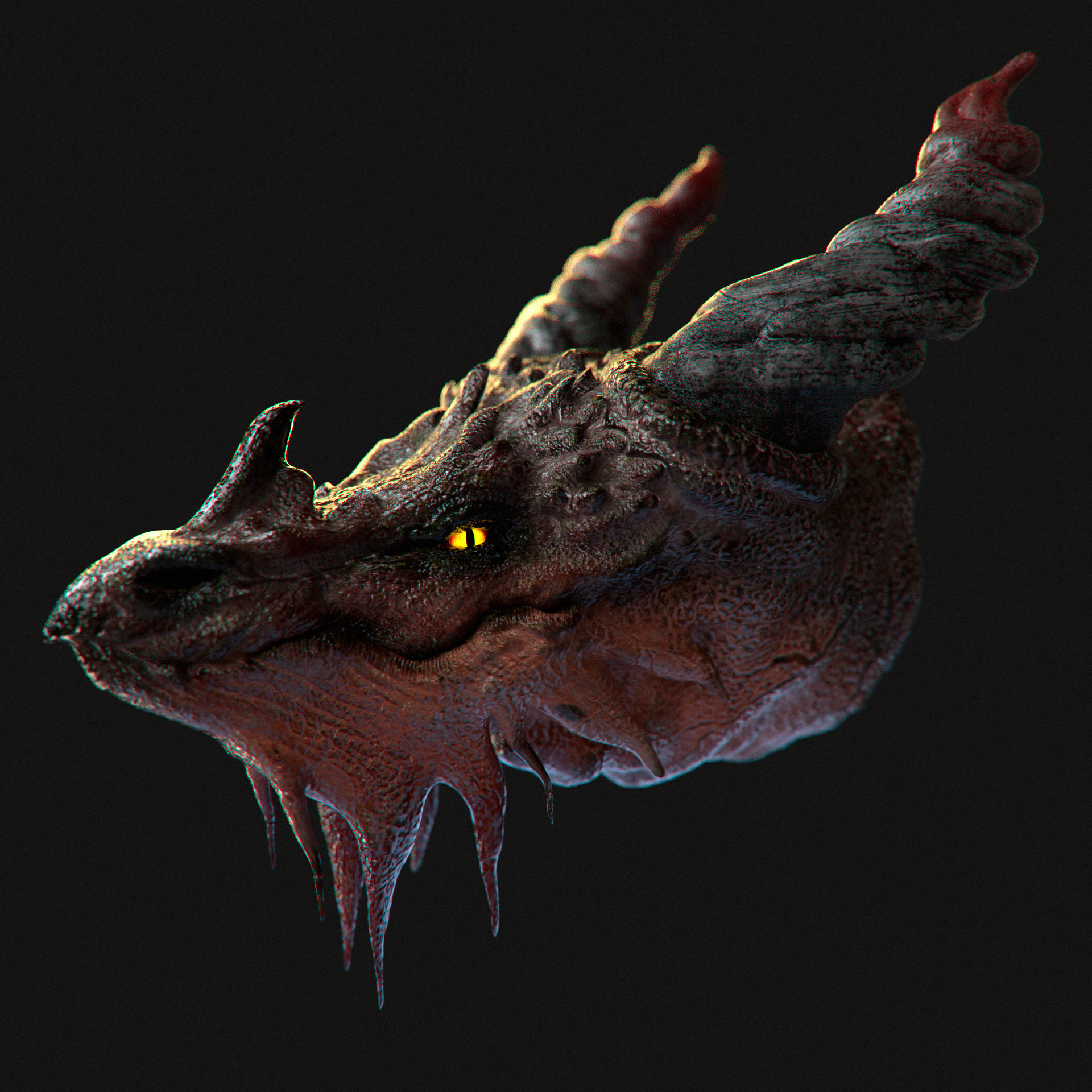 ArtStation - Dragon Head Study