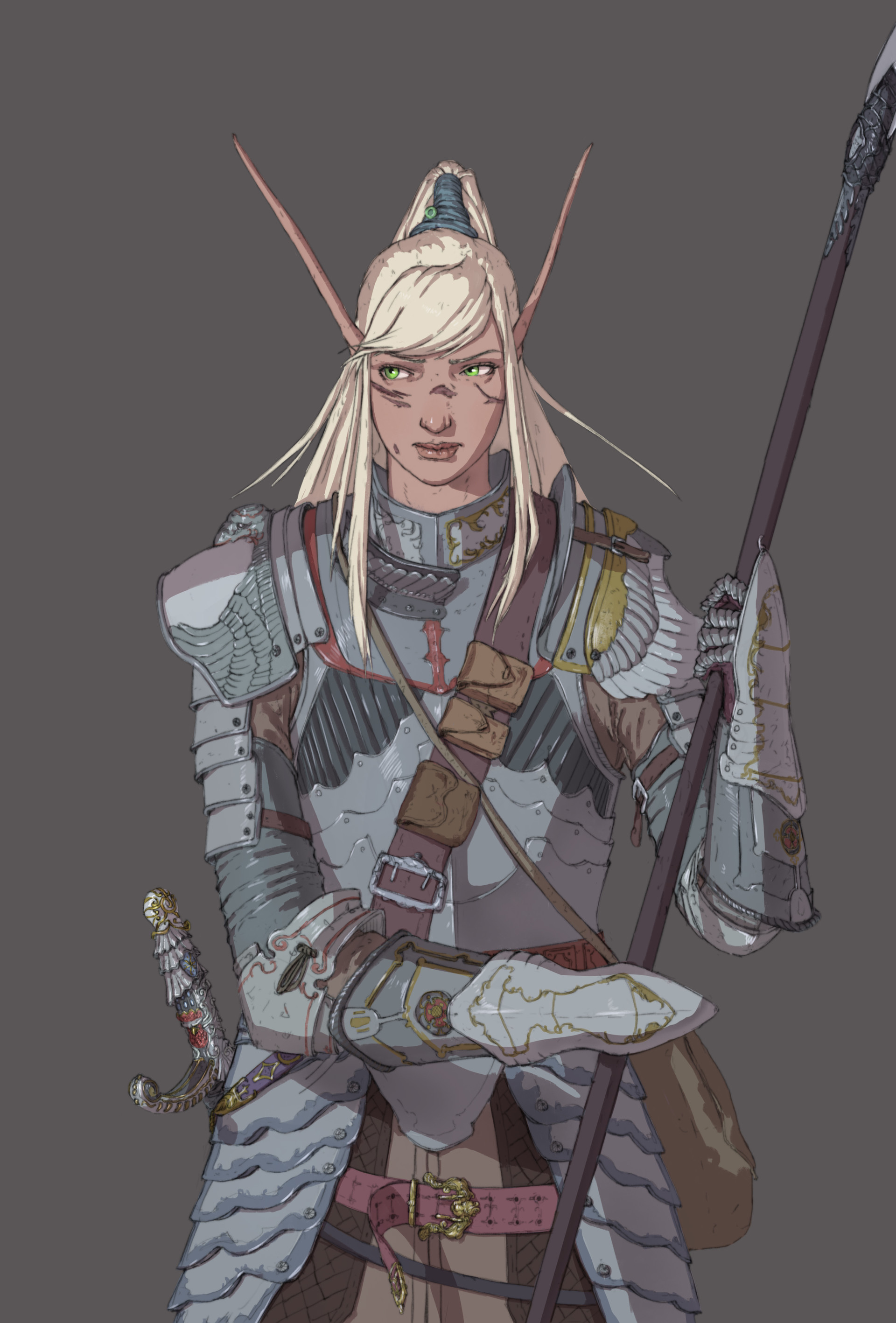 Elf knight by Robert Hoang : r/armoredwomen