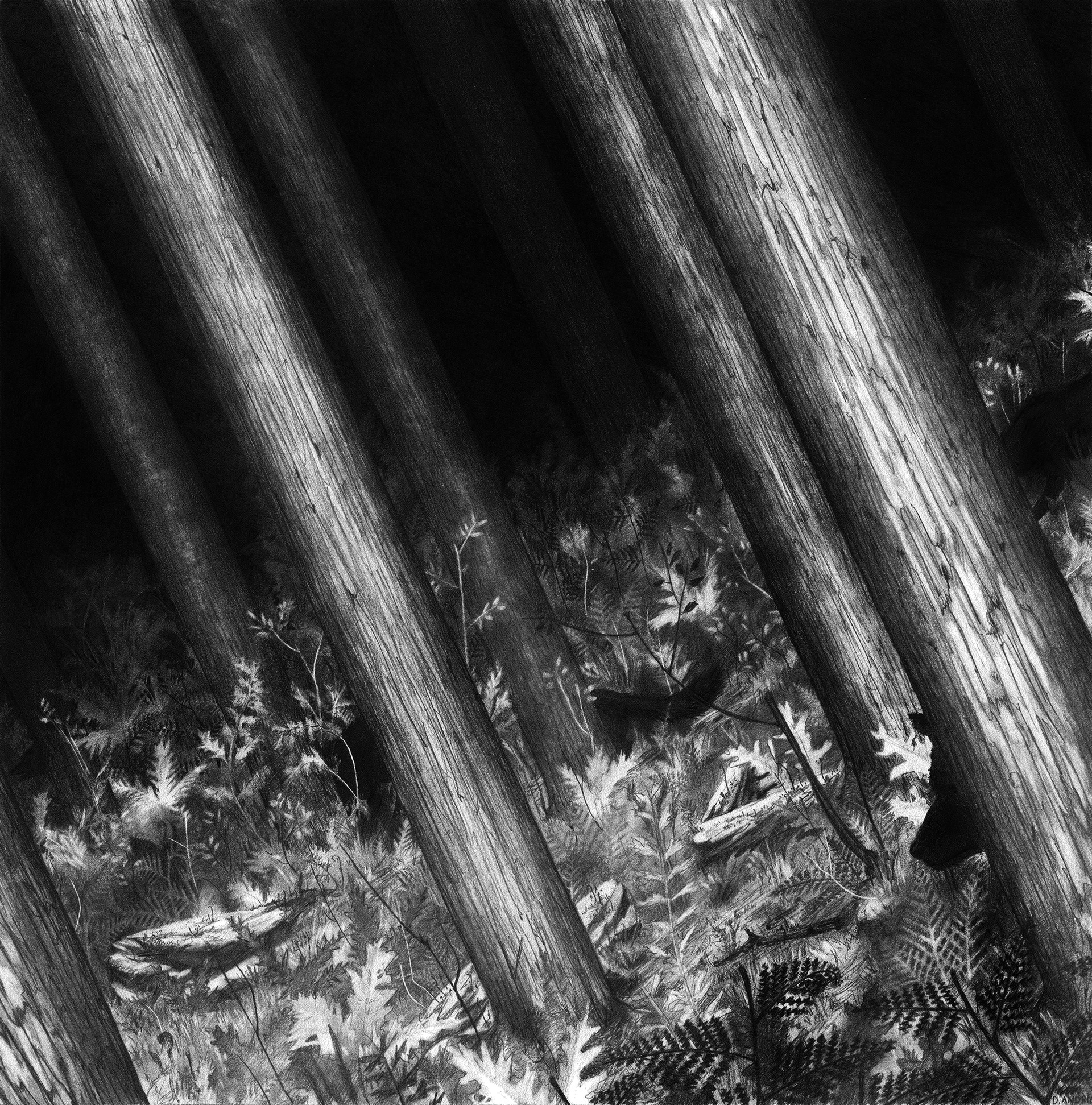 ArtStation - Wolfpack