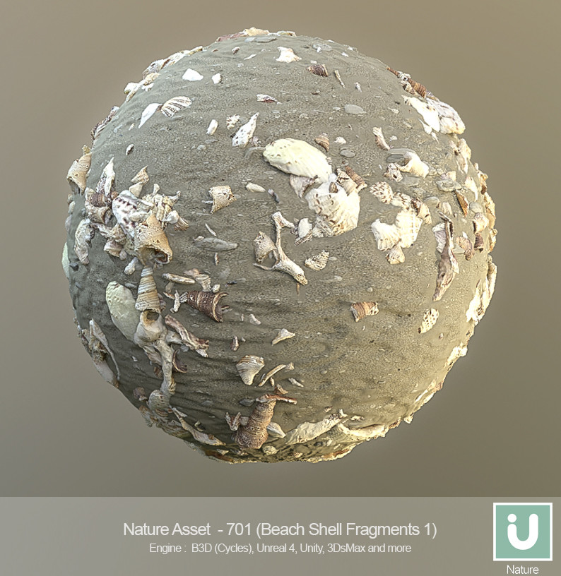 ArtStation - iU Nature Asset 702 - Beach Shell Fragments 1