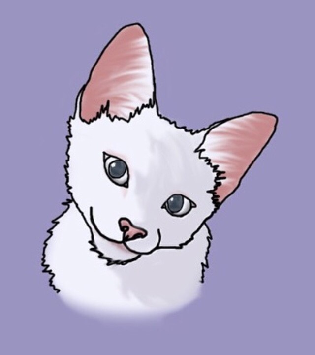 ArtStation - Fred the cat