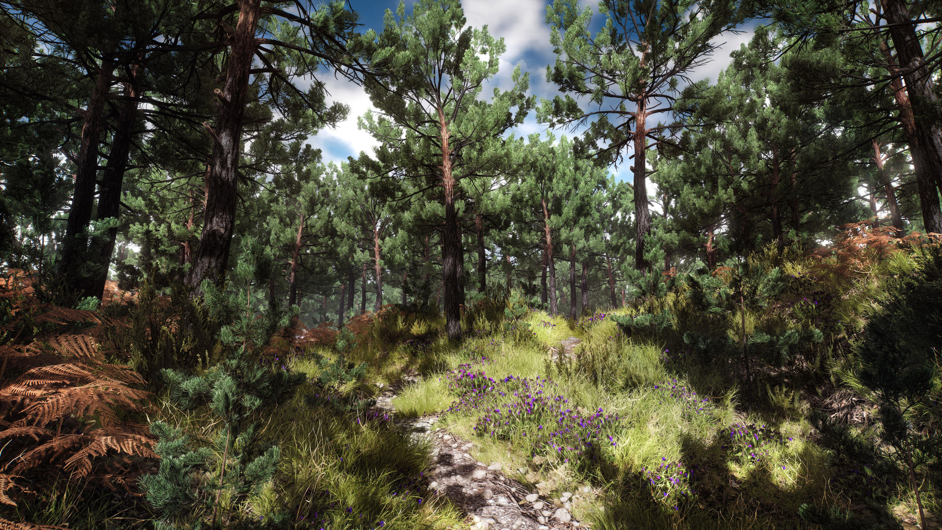 ArtStation - Forest
