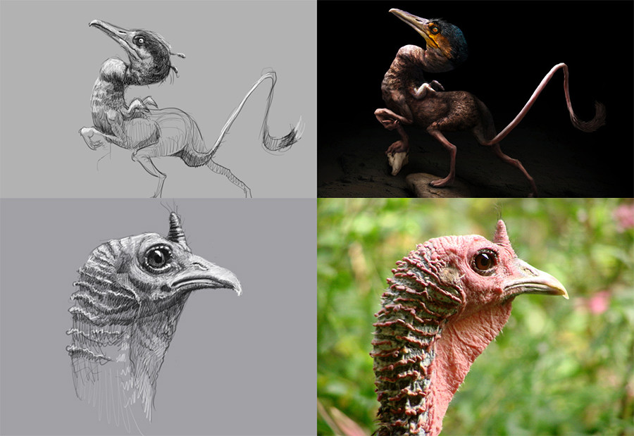 ArtStation - Preparatory sketches for Cockatrice