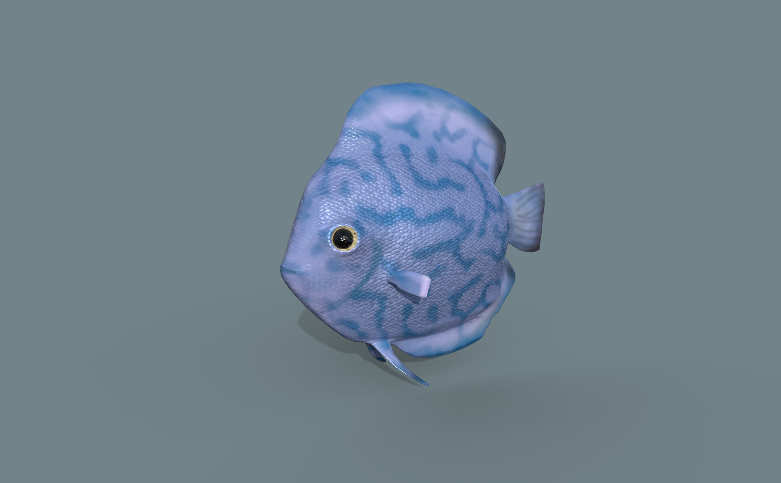 ArtStation - Blue Discus