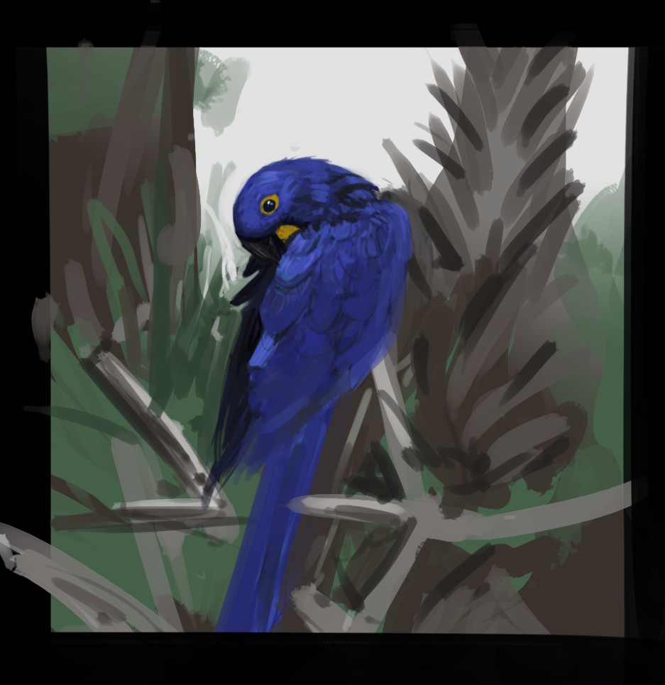 ArtStation - Parrot Photoshop study