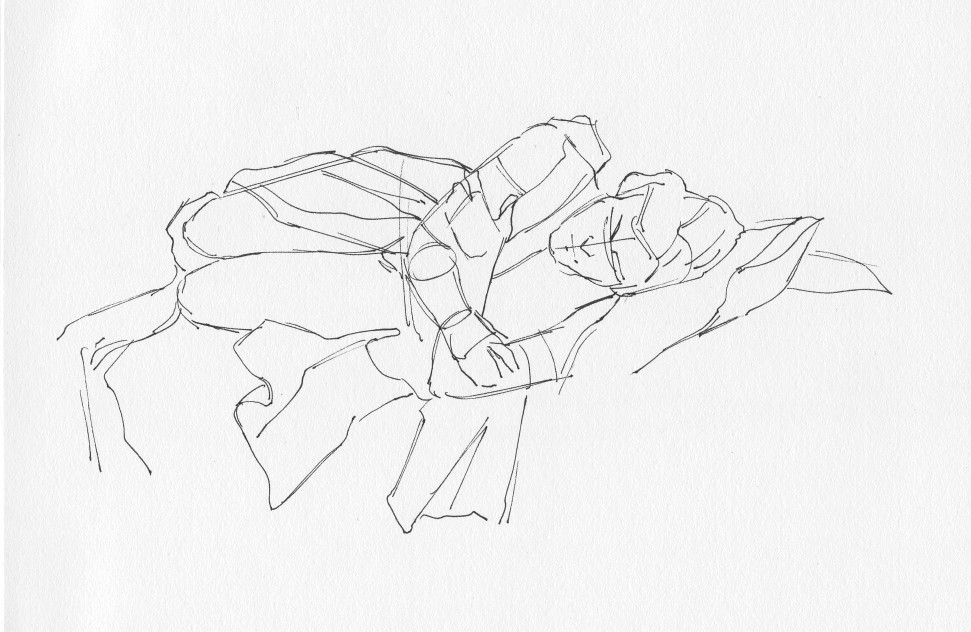 Joseph Shaw - Life Drawings