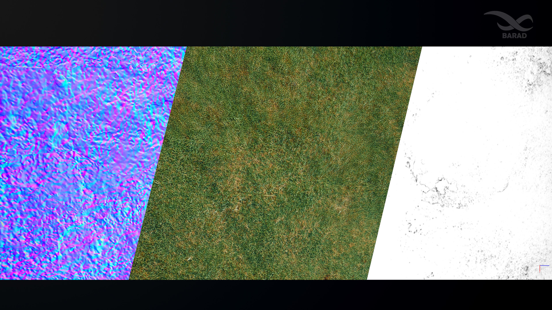 BARAD 3D Scan & Texture - Grass 3D scan texture