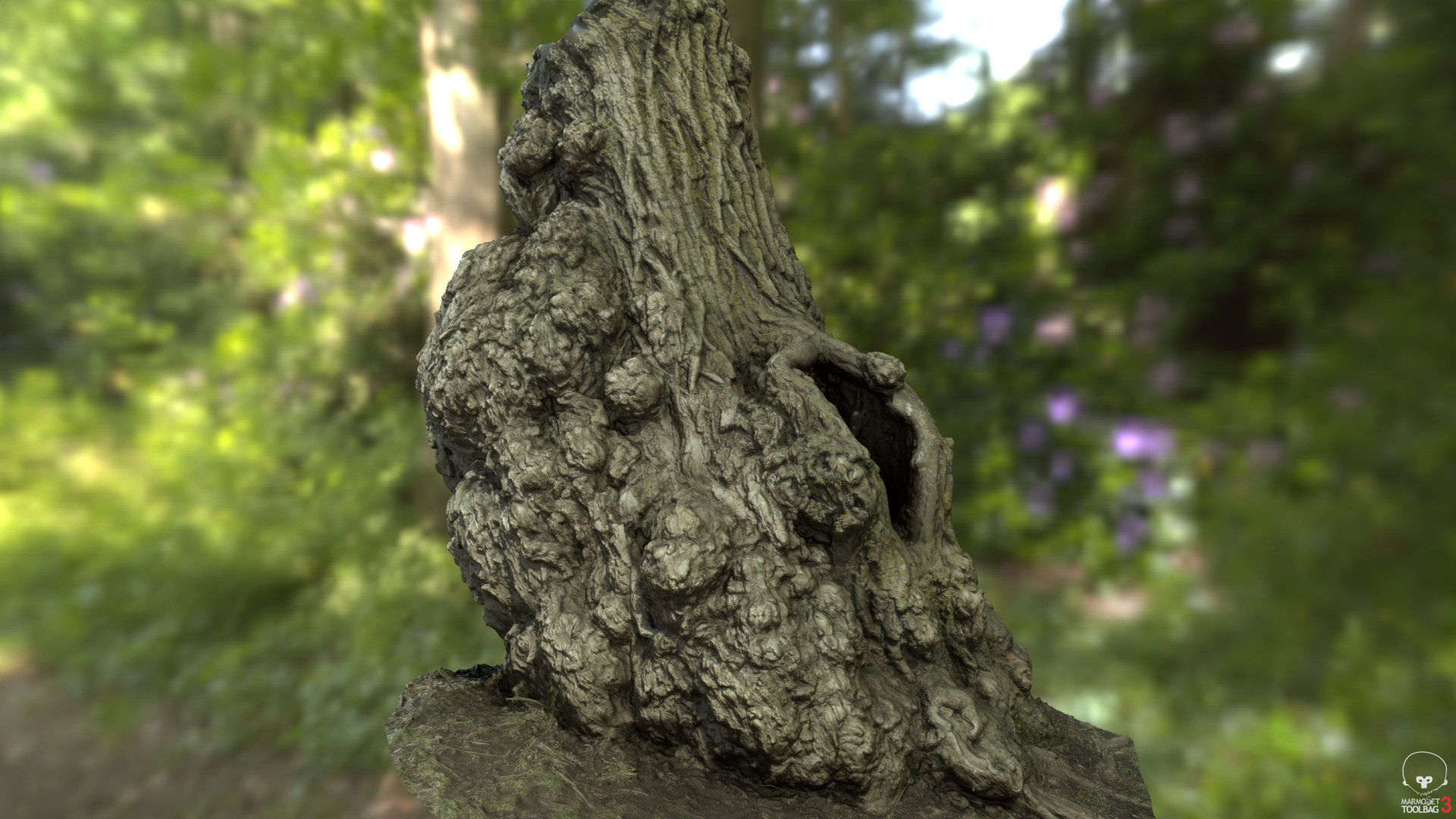 ArtStation - Tree Trunk