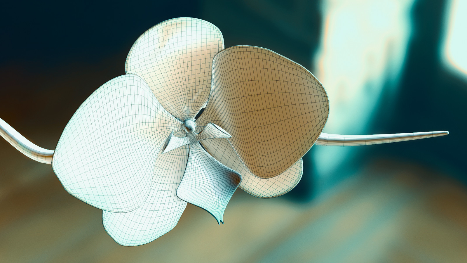 Erika Ontiveros Sánchez - Orchids!