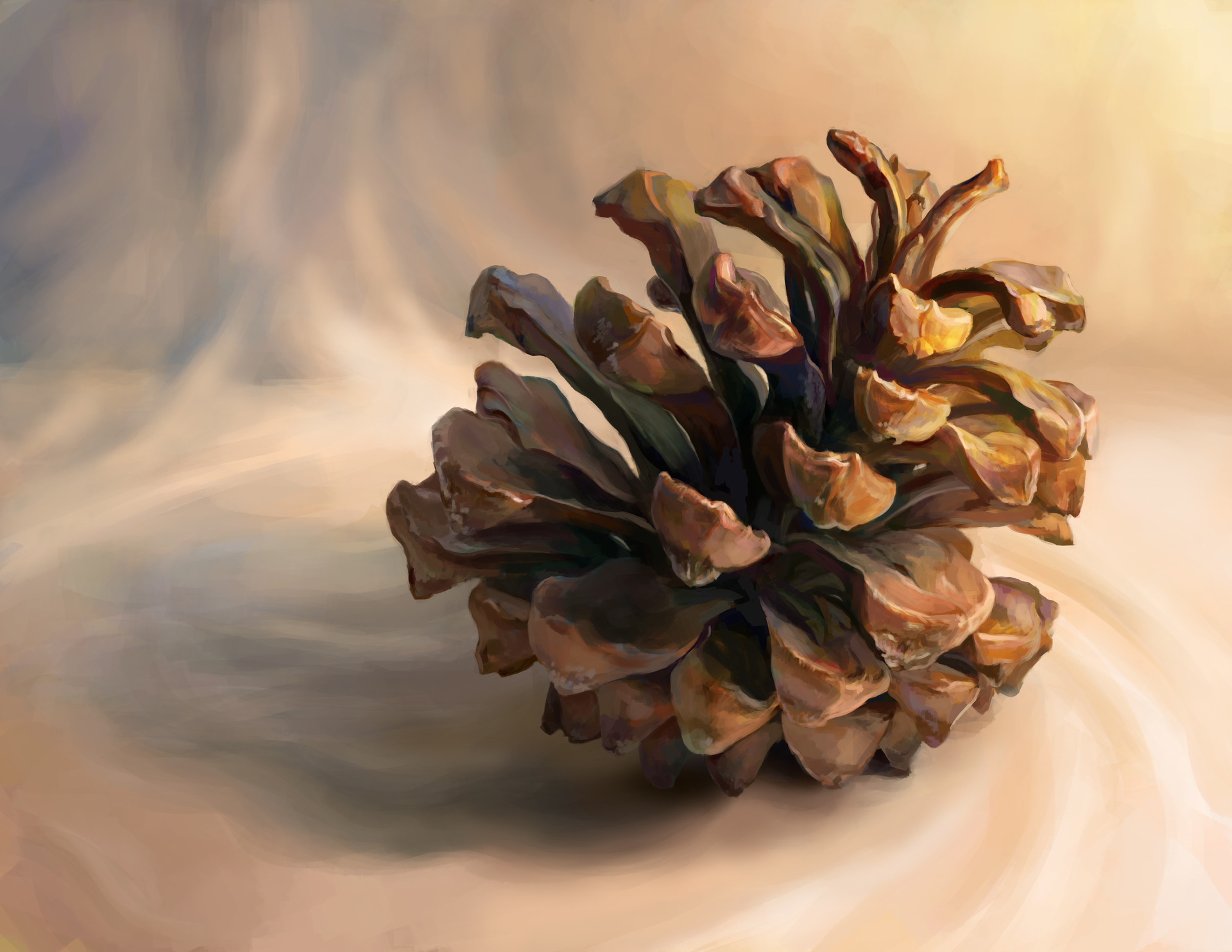ArtStation - Pinecone Still Life Study