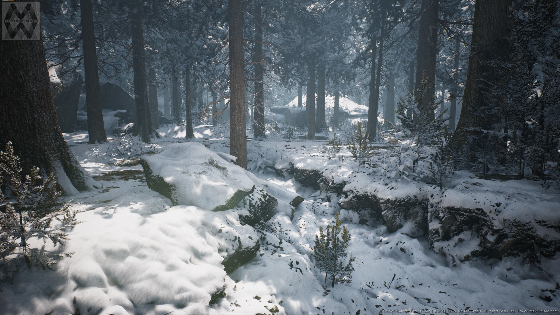 MAWI United - UE4 Conifer Forest V3
