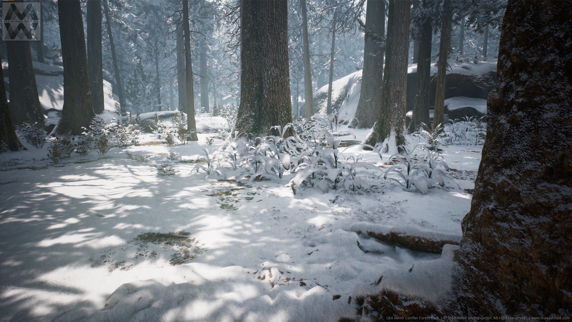 MAWI United - UE4 Conifer Forest V3
